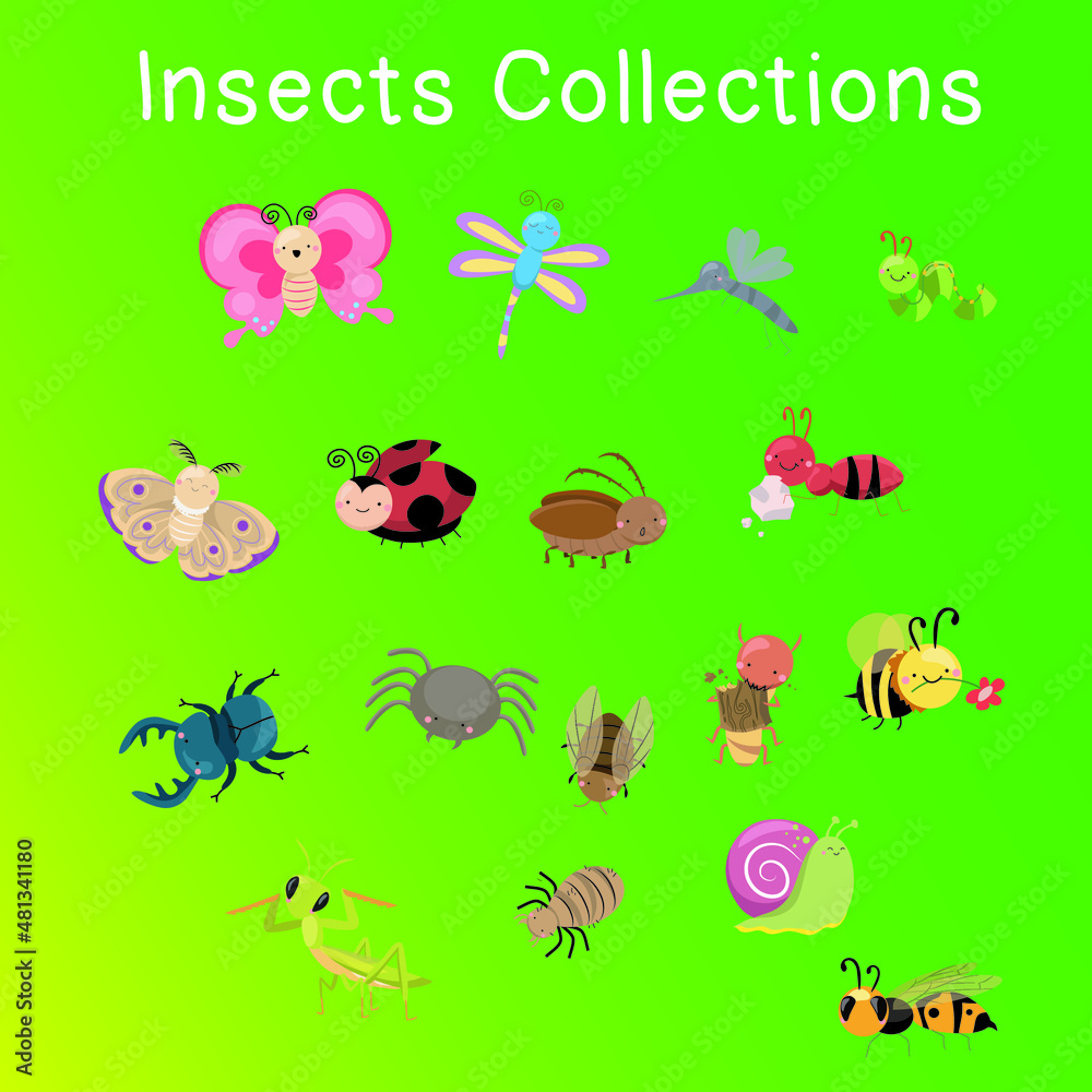 Insect collections with cute cartoon style. Cute colourful bugs ...