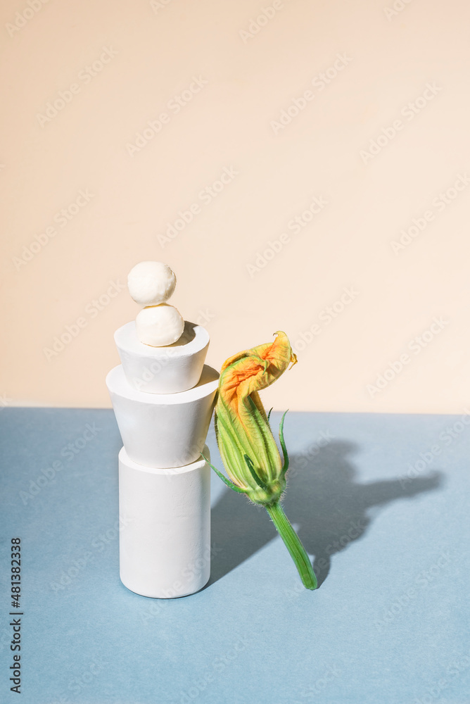Conceptual creative still life with balancing fresh zucchini flowers ...