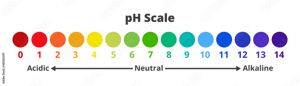 Vector chemical illustration of pH scale for a measure of how acidic or ...