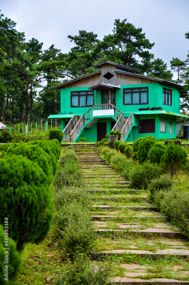 Portrait of a beautiful green wooden house on the mountain and ...