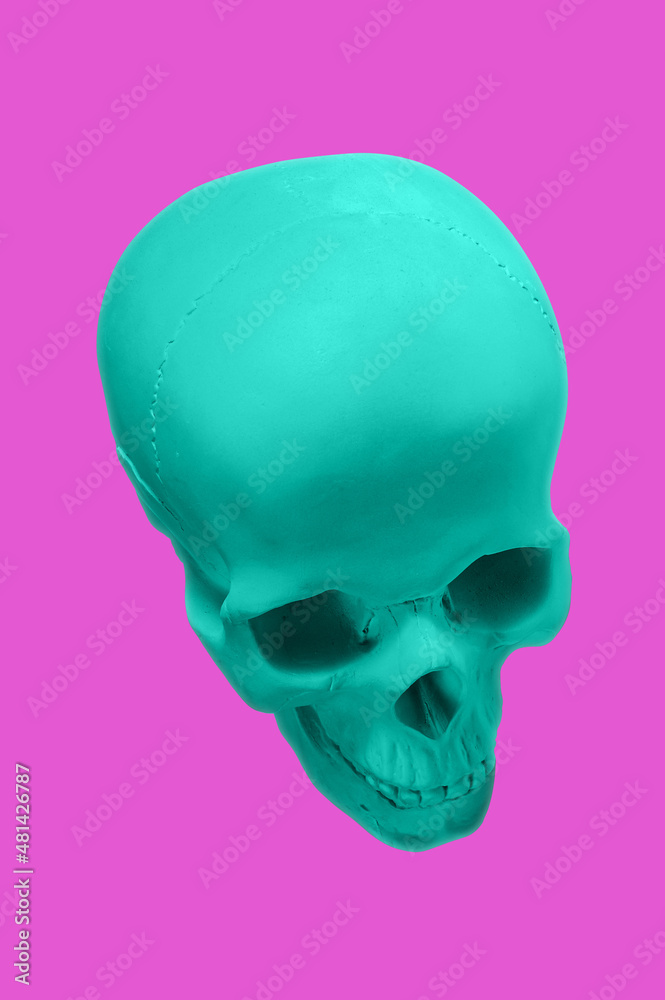 Green gypsum human skull on isolated pink background with clipping path ...