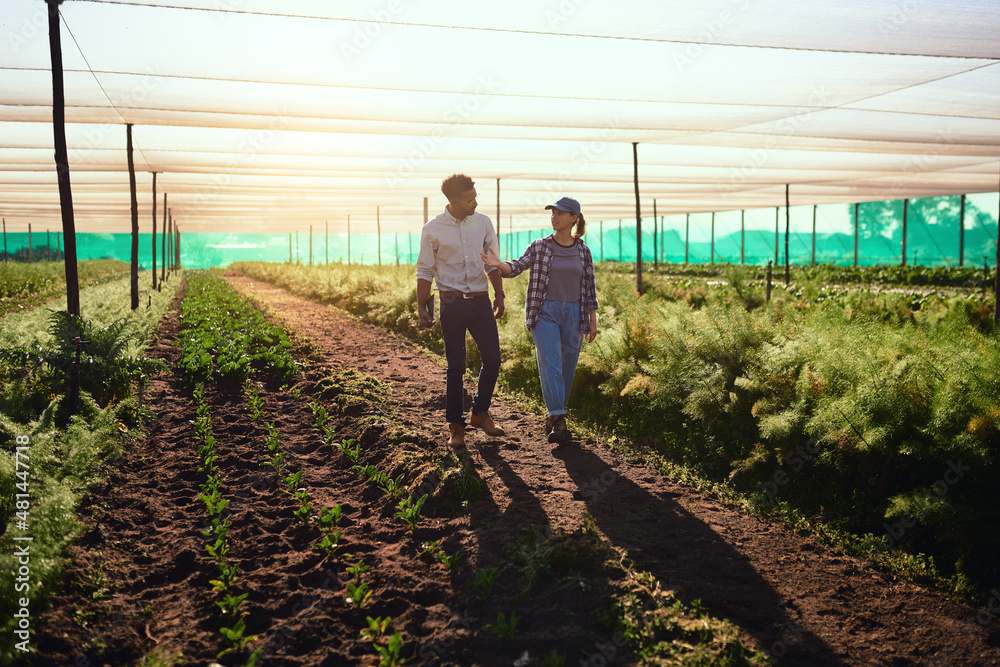 Monitoring things on the farm. Full length shot of two young farmers ...