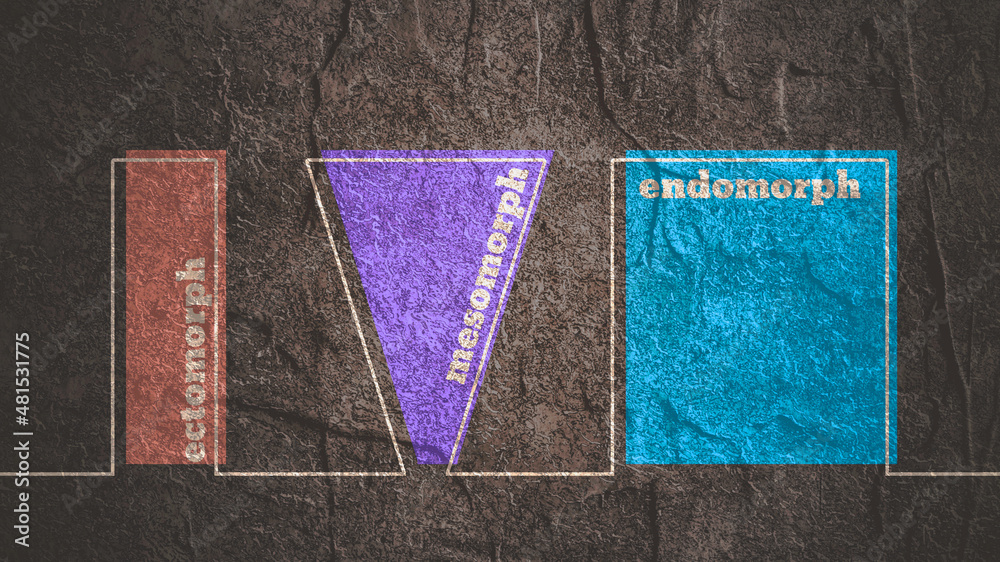 Body types icons set. Ectomorph, mesomorph and endomorph. ilustración ...