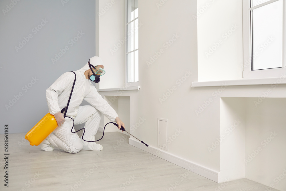 Pest control service guy working inside the house. Man in white ...