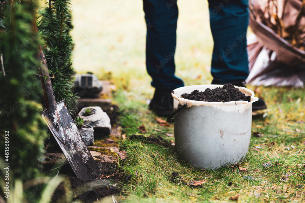 Transplanting flowers and plants. The concept of working in the garden ...
