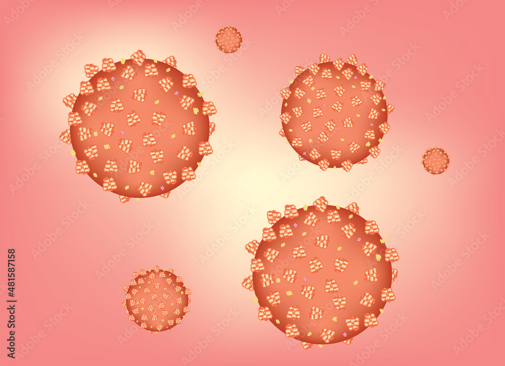 Biological structure of Typical viruses in human body Stock Vector ...