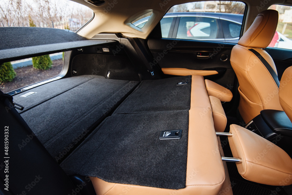 Luxury car boot with folded seats. Opened empty car trunk. Clean trunk ...