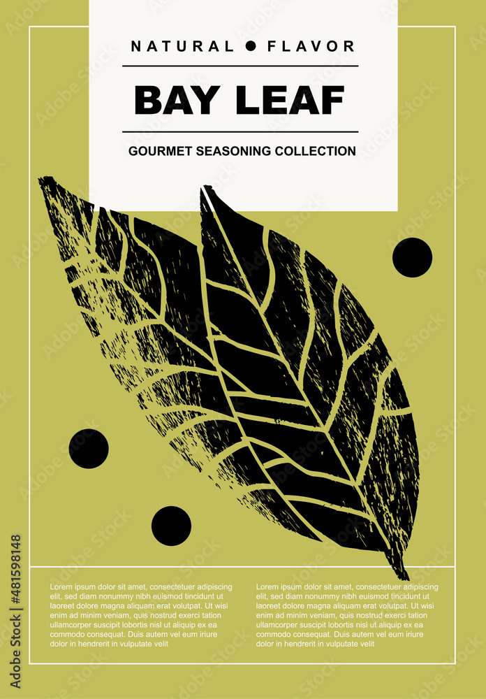 Bay leaf. Set of posters of spices, herbs, organic product in a ...
