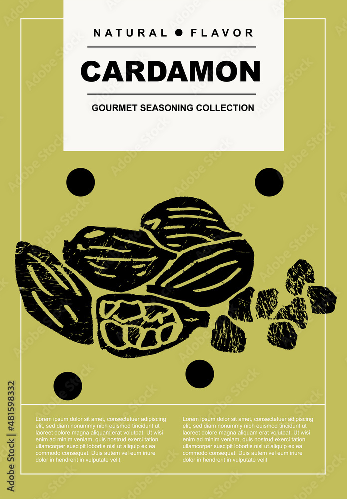 Cardamon. Set of posters of spices, herbs, organic product in a ...