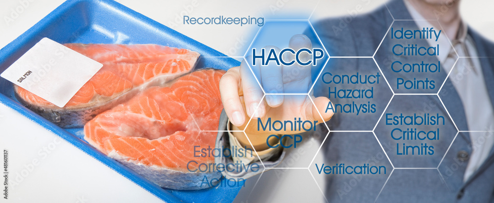 Plakat HACCP (Hazard Analyses and Critical Control Points) - Food ...