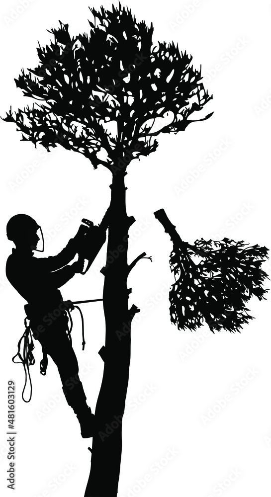 Tree Surgeon sawing a tree Stock Vector | Adobe Stock