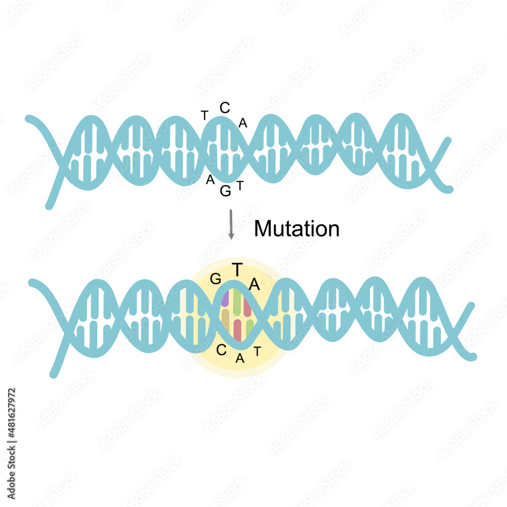 The focus picture of Mutation site at the DNA double stand Stock ...