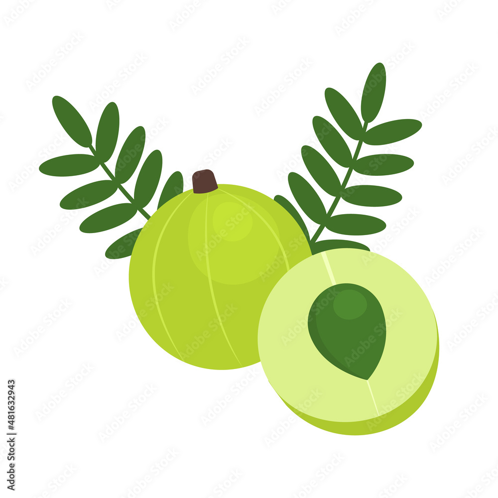 Amla whole fruit and half sliced for package design. Indian gooseberry ...