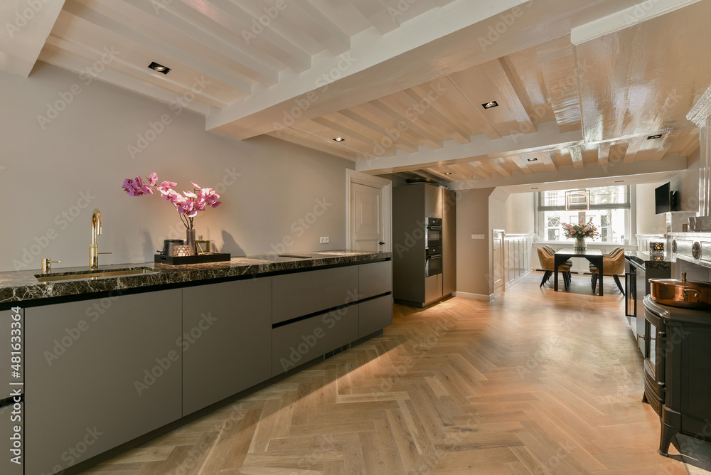 Interior of modern kitchen with built in appliances Stock Photo | Adobe ...