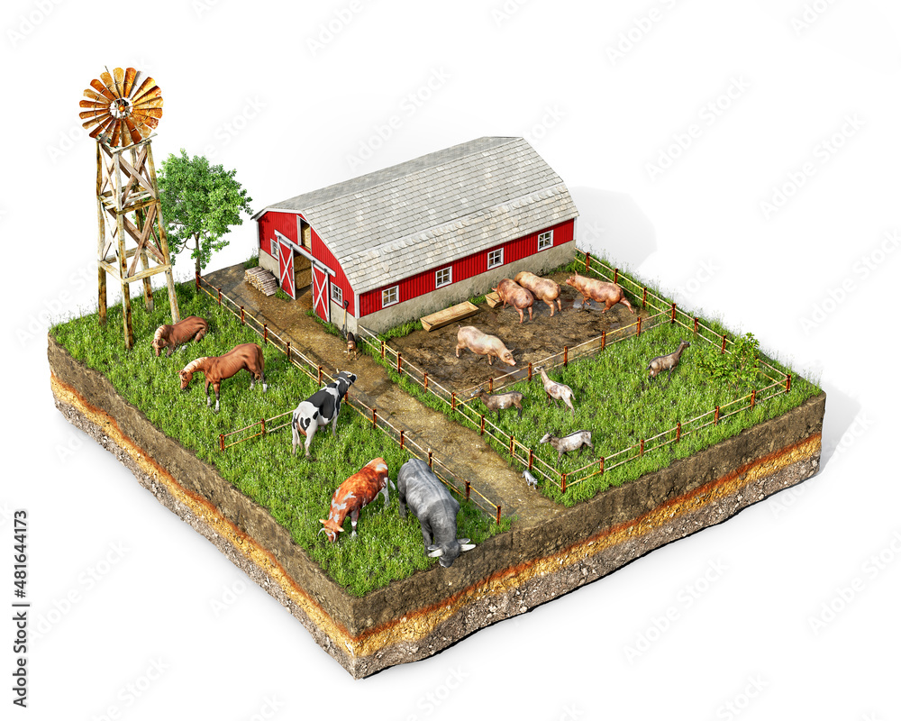 Livestock concept, barnyard with animals in enclosure, pigs, cows ...