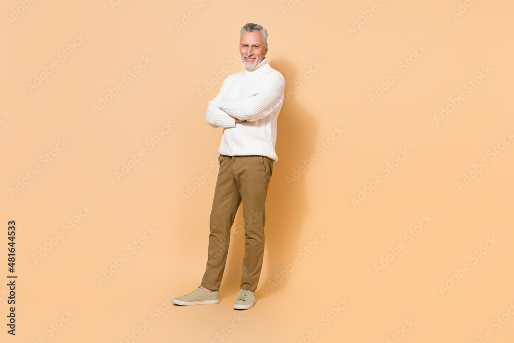 Full length body size view of attractive cheery content grey-haired man ...