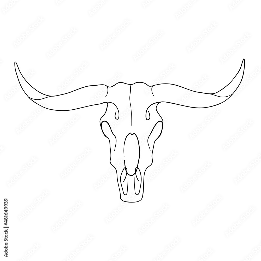 Bull Skull Outline