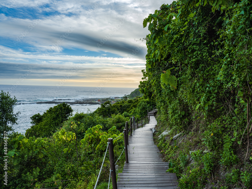 Wooden pathway in the Tsitsikamma forest in the Garden Route South ...