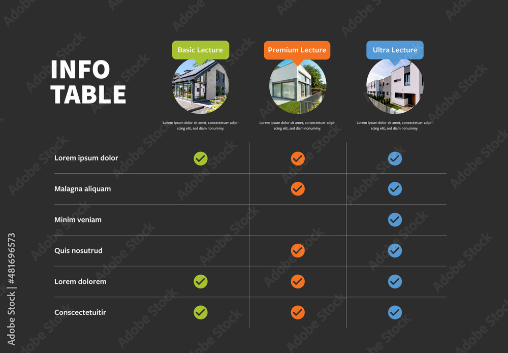 Infographic Table Layout With Three Column Design Stock Template Adobe Stock