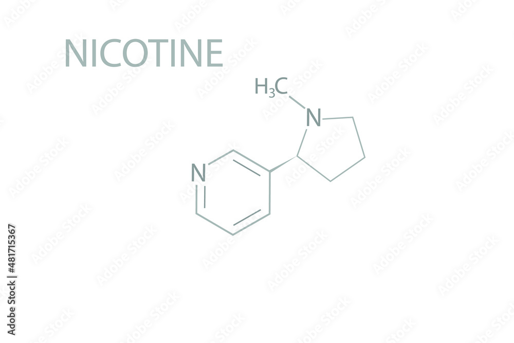 Nicotine molecular skeletal chemical formula. Stock Vector | Adobe Stock