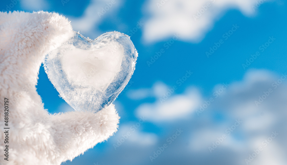 February Winter Backgrounds