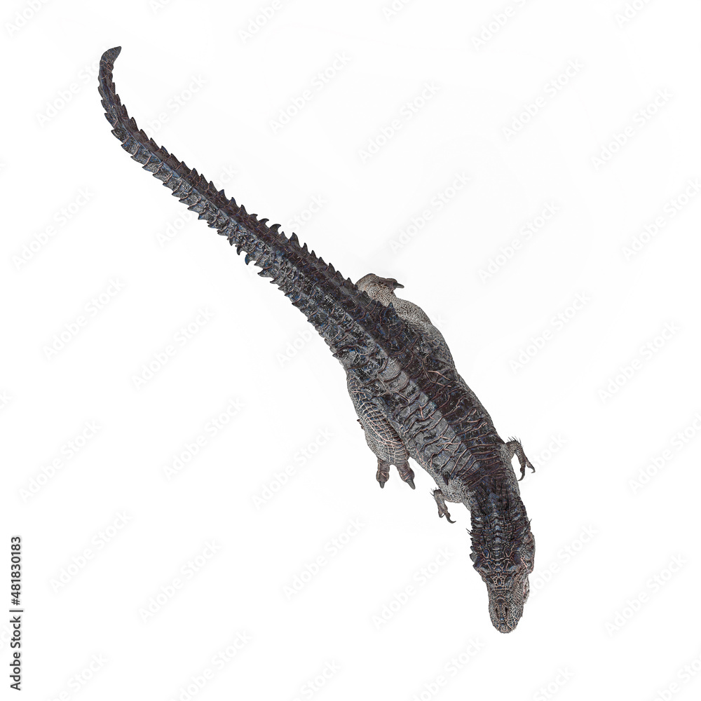 dinosaur monster top view Stock Illustration | Adobe Stock