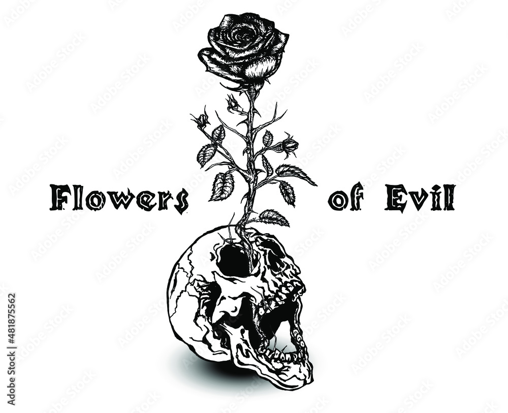 Flowers of Evil. Hand drawn vector illustration of skull and rose ...