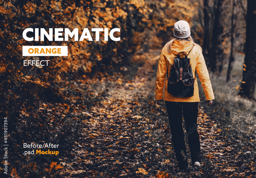 Before and After Photo Effect Stock Template | Adobe Stock
