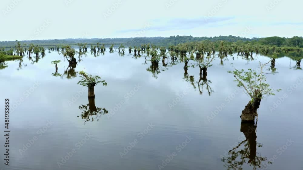 Relaxing nature background of a lagoon in a tropical forest, flying ...