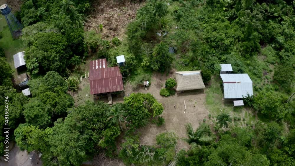 Top view of small houses in an indigenous community in the Amazon ...