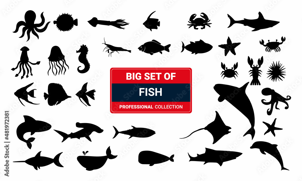 Sea fish and sea monster silhouette set isolated on white background ...