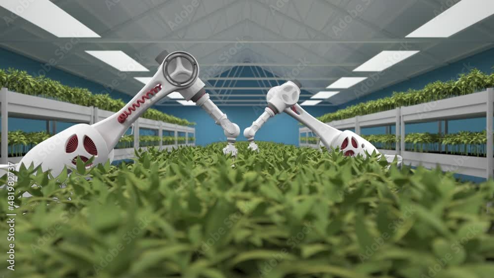 Vidéo Stock Automated planting process using advanced robot for ...