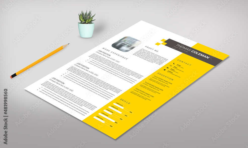 Modern Resume Design Layout Stock Vector | Adobe Stock