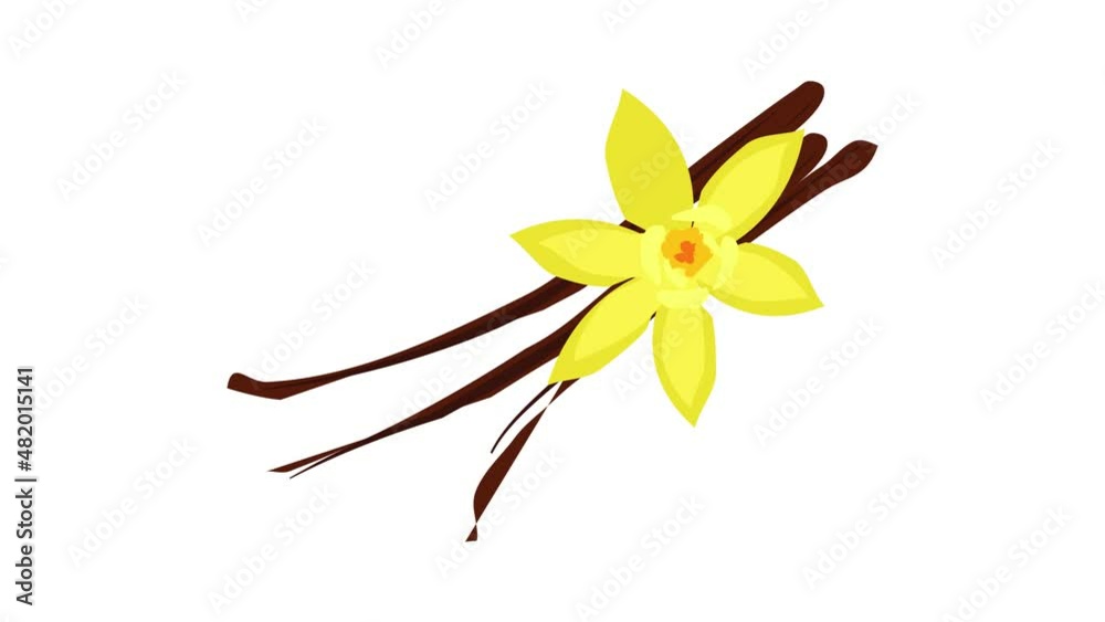 Vanilla icon animation best cartoon object on white background Stock ...
