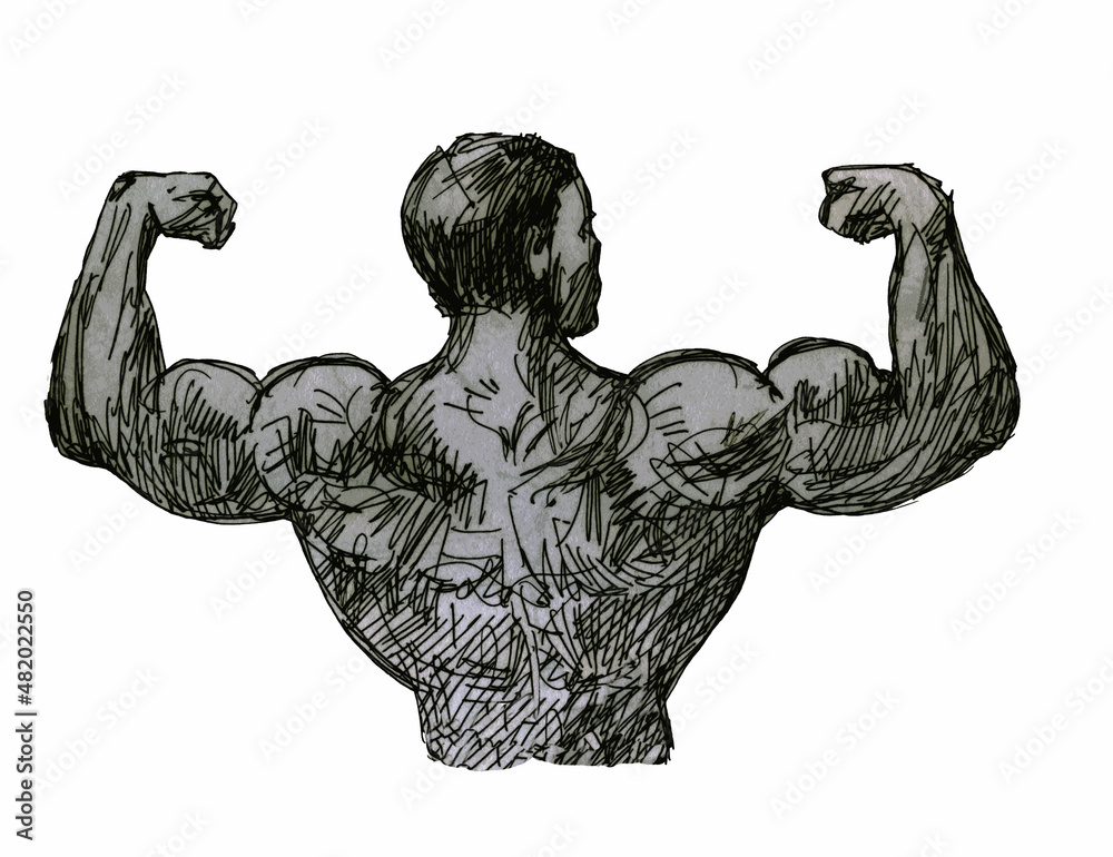 Bodybuilder shows arms and back. Powerful man.Ink illustration. Stock ...