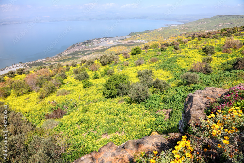 Foto Stock Beautiful wild flowering landscape from on Kinneret or Sea ...