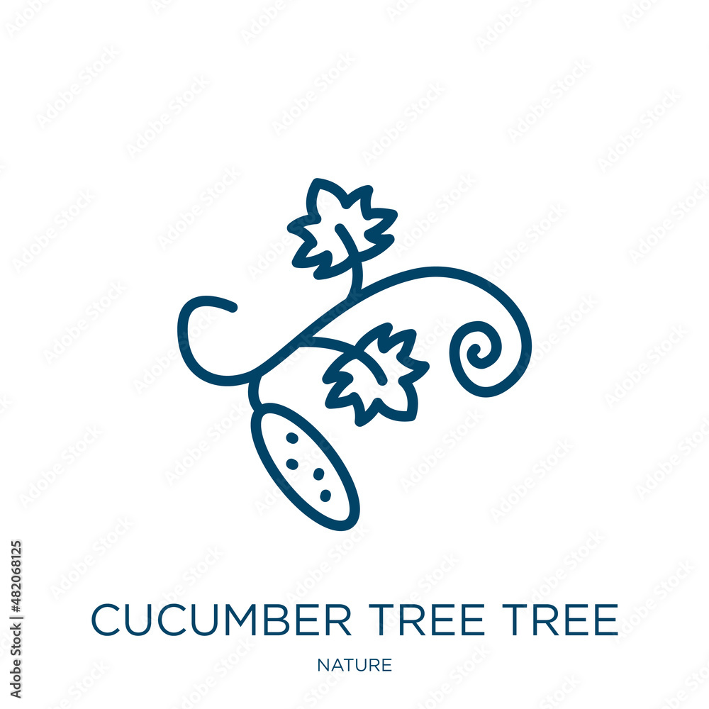 cucumber tree tree icon from nature collection. Thin linear cucumber ...