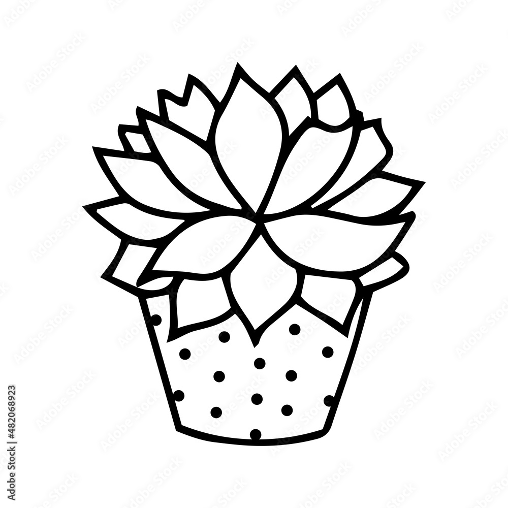 Vector home plants in pots, outline drawings on a white background ...