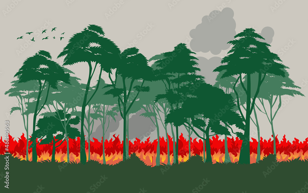 Forest fires , wildfire disaster illustration, burning trees, nature in ...