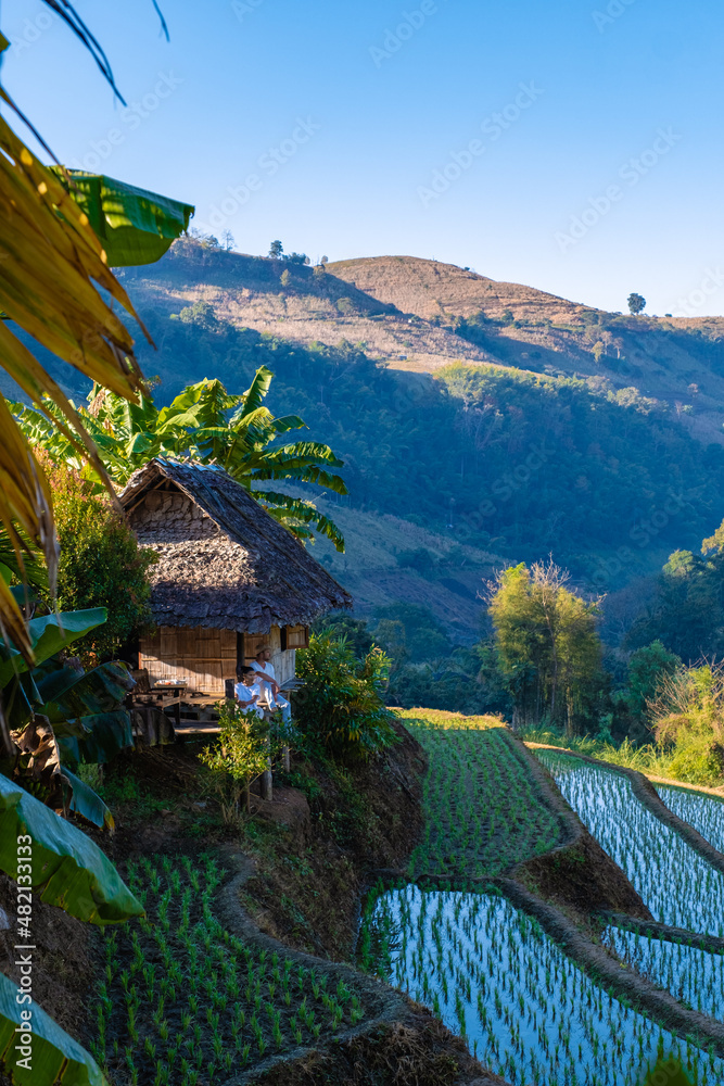 Foto de rice fields in Northern Thailand, rice farms in Thailand, rice ...