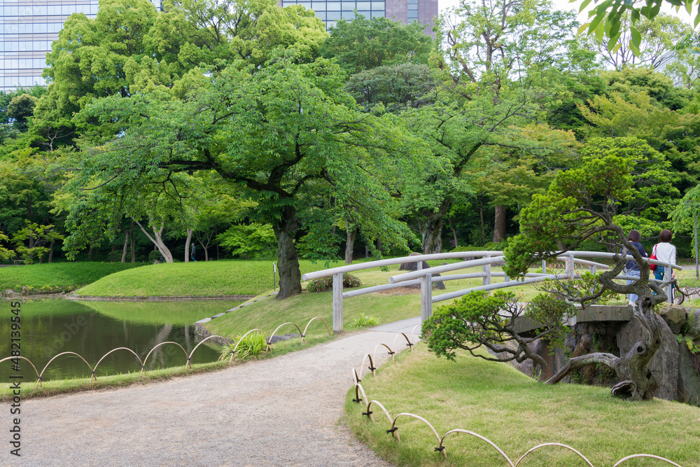 Tokyo, Japan - Mar 18 2019 - Koishikawa Korakuen Garden in Tokyo, Japan ...