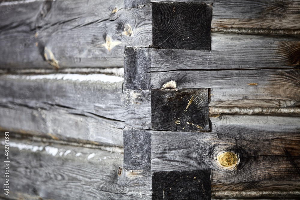 weathered surface of the old wooden log house wall close-up. log walls ...