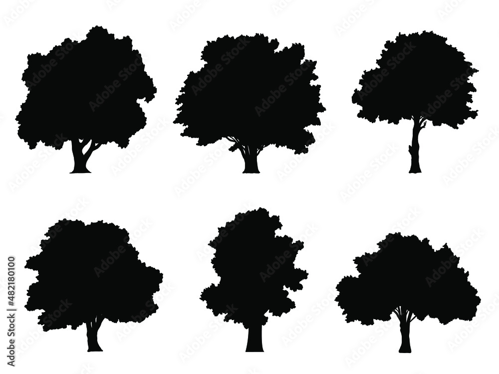 collection isolated tree Symbol silhouette style on white background ...