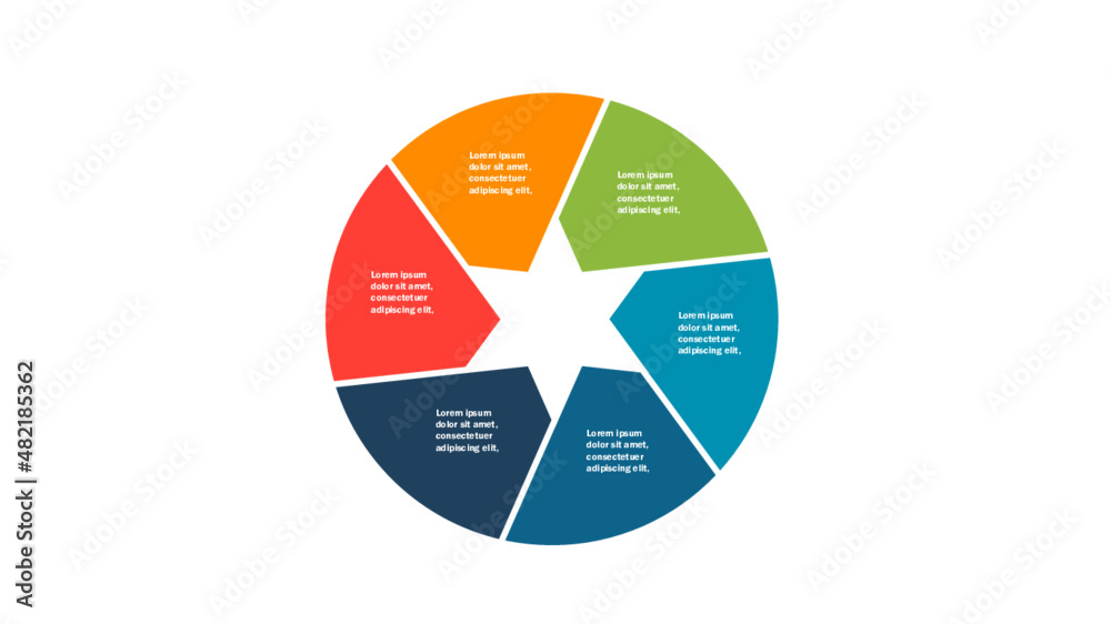 circular infographic vector illustrator Stock Vector | Adobe Stock