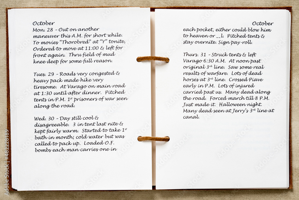 World War One Soldier`s Diary Pages, 30 of 47. Diary entries of a WWI ...