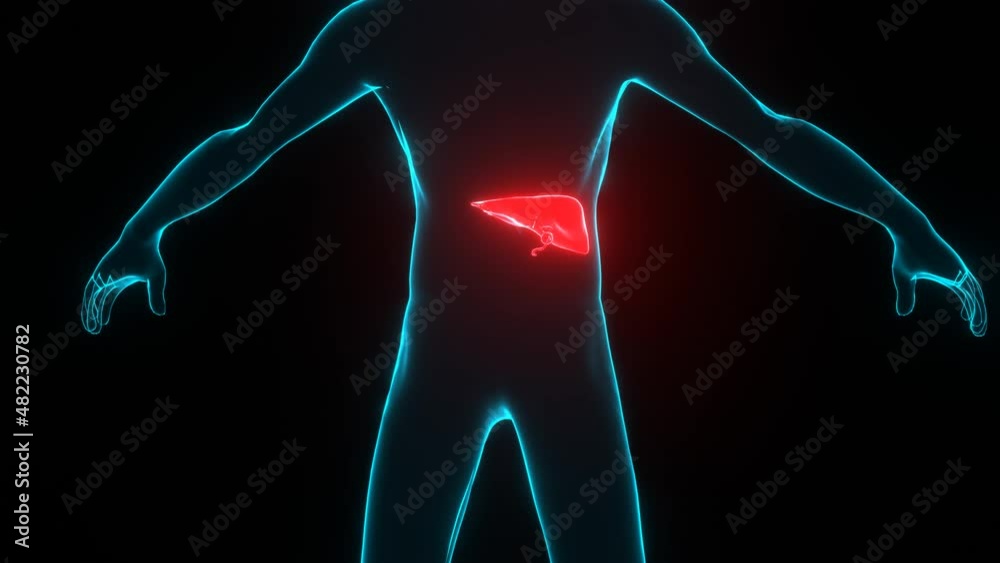 Vidéo Stock Human body with liver disease hologram. Transparent 3D ...