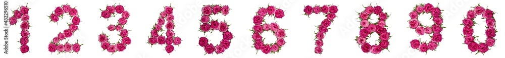 Set of arabic numbers from natural red flowers of roses, isolated on ...