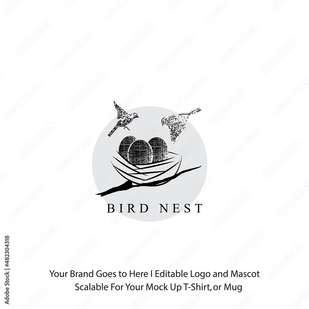 Vector image of an bird hatch her egg in nest on white background. bird ...