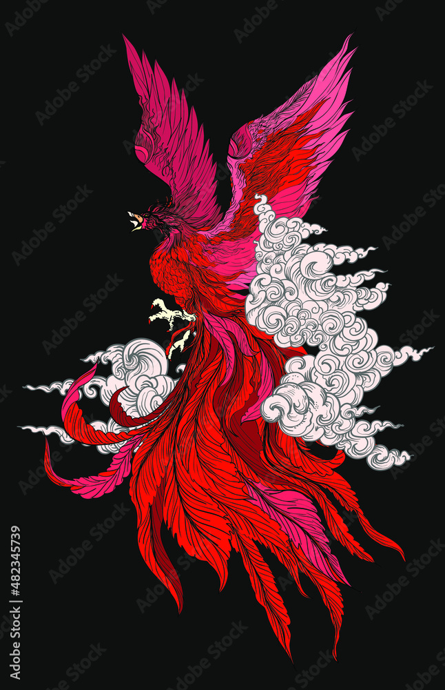 Phoenix Fire bird illustration and character design.Hand drawn Phoenix ...