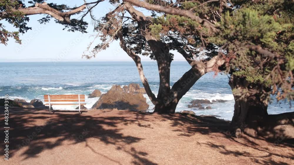 Ocean beach, empty bench on shore under pine cypress tree, sea water ...